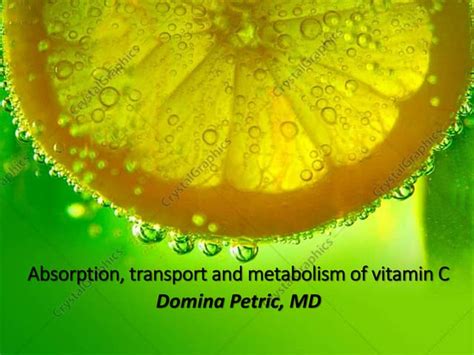Absorption Transport And Metabolism Of Vitamin C Ppsx