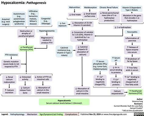 Hypocalcemia Pathogenesis Calgary Guide