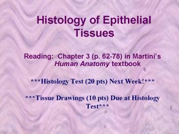 Histology Of Epithelial Tissues Presentation Free To View
