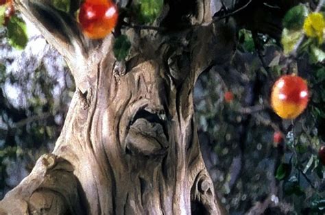 And The Award Goes Tobest Trees In Film History American Forests