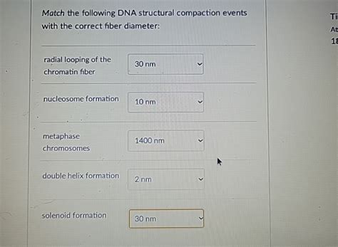 Solved Match The Following Dna Structural Compaction Events