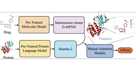 Mutualdta An Interpretable Drug Target Affinity Prediction Model Leveraging Pretrained Models