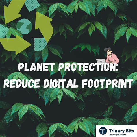 World Environment Day Was Celebrated A Few Days Ago But These Tips Are To Trinarybits