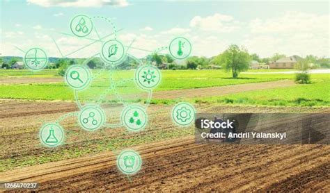 미래지향적인 혁신적인 기술 그림과 트랙터의 농부 농업의 과학 농업 및 농업 신생 기업 효율성 향상 품질 및 수율 성장의 기술