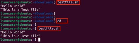 How To Run A Bash Script In Ubuntu 2204 Linuxways