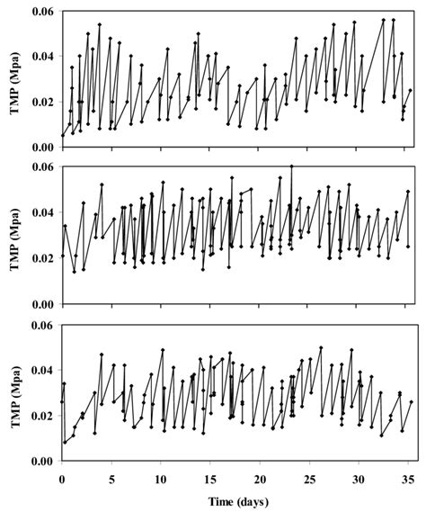 TMP Profiles Of MBR At A R1 B R2 And C R3 Download Scientific Diagram