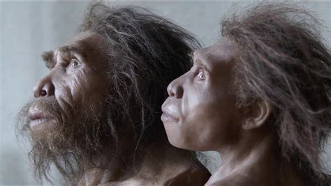 ზეზვა და მზია Youtube