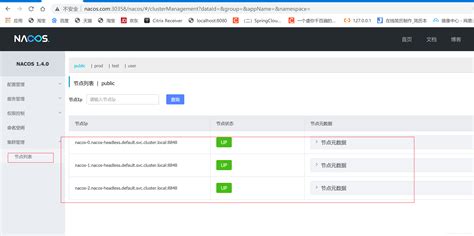 K8s集群内部怎么通过dns域名使得业务系统注册到nacos集群说明 方法论，其他通过域名访问服务一样的nacos Headless