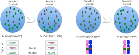 High Throughput Sequencing Data Provides Information About The Download Scientific Diagram