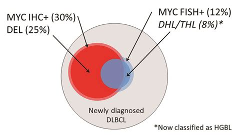 Double Expressor Vs Double Hit At Kristy Mulkey Blog