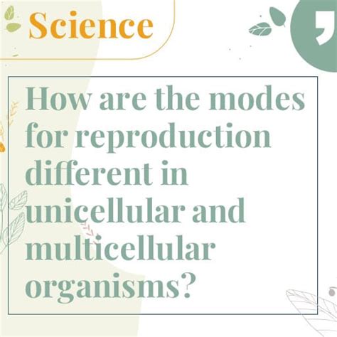 How Are The Modes For Reproduction Different In Uni Multicellular