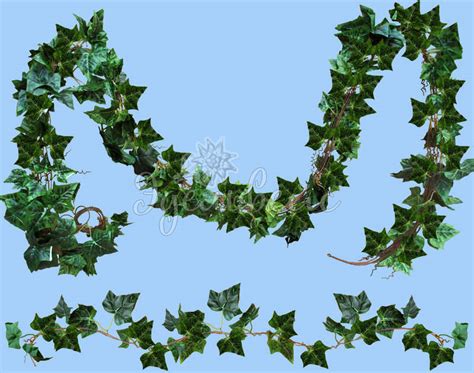 Лиана искусственная английский плющ Лианы и свисающие растения Каталог Эдельвейс