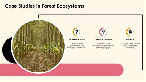 Mycorrhizal Communication System Trees Ppt Information Acp Ppt Powerpoint