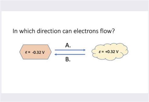Bio Lecture 20 Flashcards Quizlet