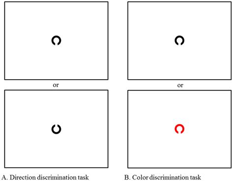 Discrimination Tasks A Direction Discrimination Task B Color