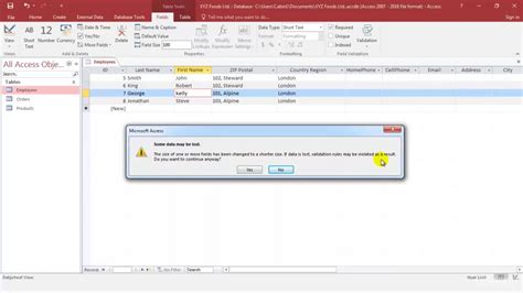 Microsoft Access Fields