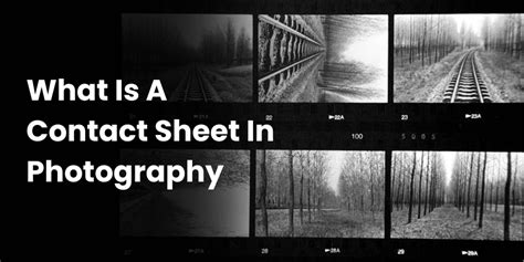 What Is A Contact Sheet In Photography