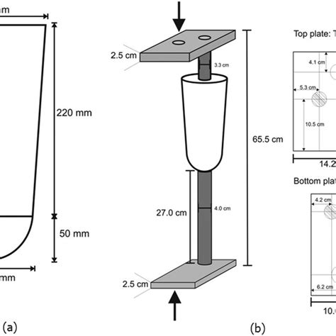 A The Standard Socket And Its Dimensions Developed From A Socket Download Scientific Diagram