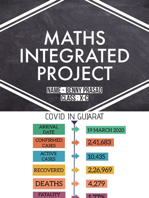 integrated project pdf