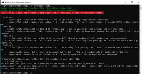 Snipe IT Installation On Windows Server By Jay Singh MMDM Teknex