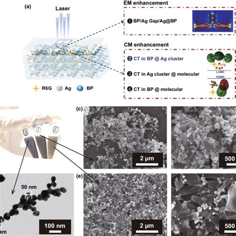 Schematic Of Synergistic Resonance Enhancement And The Morphology Of Download Scientific