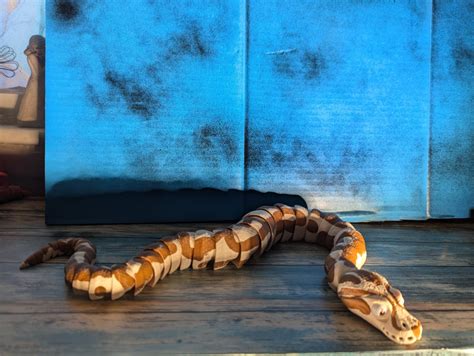 Articulated Python Chinchilla Made