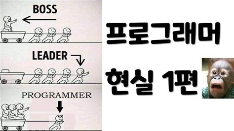 개발자 프로그래머의 현실 1편 Si업체 편 Youtube