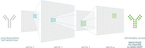 variant mining™ neochromosome