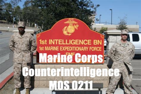 Marine Counterintelligence Mos 0211 2022 Career Details