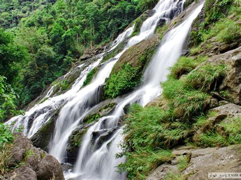 2025年2月samar Island旅游景点攻略 Samar Island旅游住宿 Samar Island旅游美食 猫途鹰