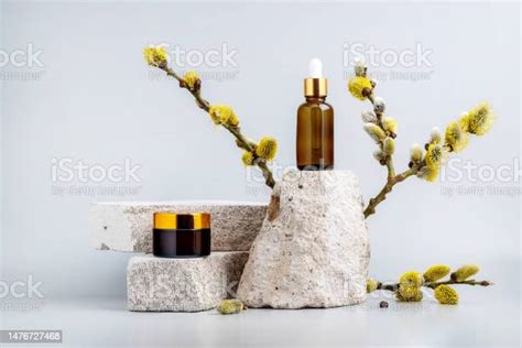 에센셜 오일을위한 피펫과 회색 배경에 꽃이 피는 버드 나무의 돌과 나뭇 가지로 만든 연단에 크림 항아리가있는 병 강단에 대한 스톡 사진 및 기타 이미지 Istock