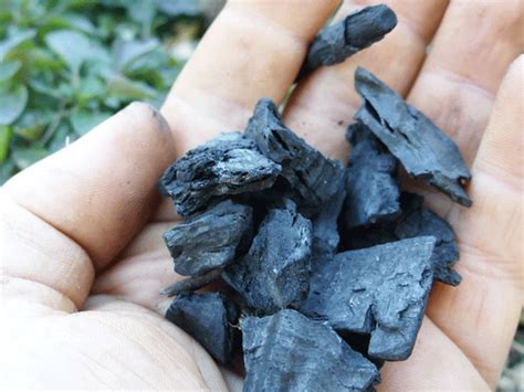 Planta De Pirólisis De Biomasa Hacer Biocarbón