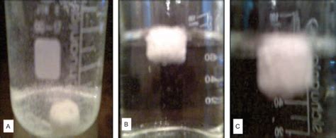 Photographs Of A Floating Matrix Tablet Floating In The Artificial Download Scientific Diagram