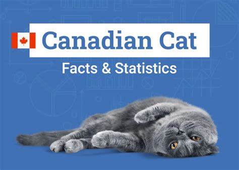 Statistics Catster