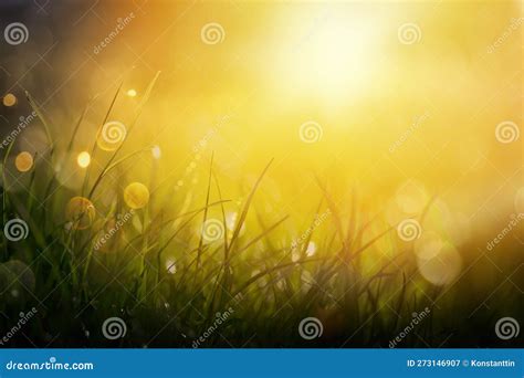 Art Spring Green Grass Background With Sunset Views Stock Image Image