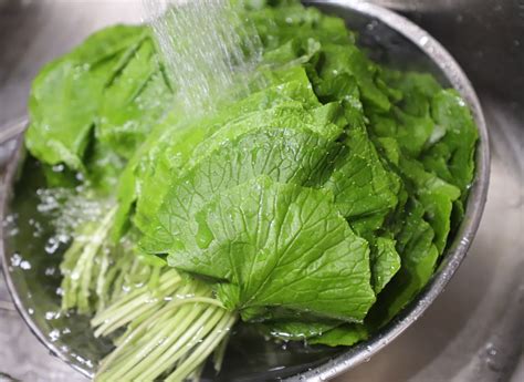 고추냉이잎 장아찌