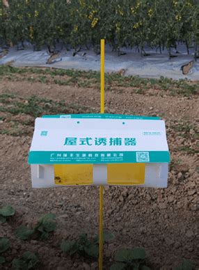 农业类作物性诱剂 瑞丰科技集团有限公司