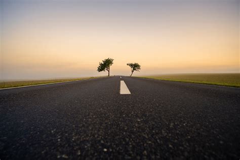 가을 시즌에 아스팔트 도로입니다 사진은 안개가 낀 아침에 찍은 것입니다 안개 에 빈 시골 도로 도로에 흰색 표시입니다 0명에 대한 스톡 사진 및 기타 이미지 Istock