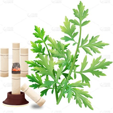 手绘 艾草元素 艾条素材 花瓣网