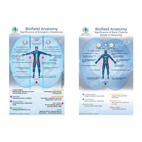 Biofield Tuning Small Biofield Anatomy Map Biofield Tuning Store