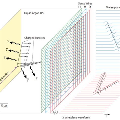 The General Operating Principle Of The Single Phase Lartpc Negatively