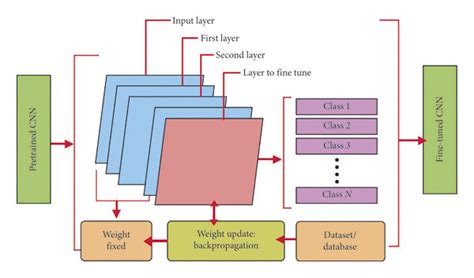Details About Fine Tuning Of Cnn Download Scientific Diagram
