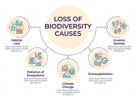 Major Causes Of Biodiversity Loss Circular Diagram Infographic Stock