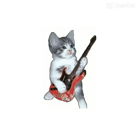 Maxwell Maxwellthecat Sticker Maxwell Maxwellthecat Maxwell Cat