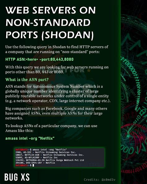 Bugbounty Cybersecurity Ethicalhacking Infosec Bug Xs