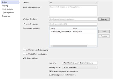 Local Iis Not Working With 43 Nopcommerce