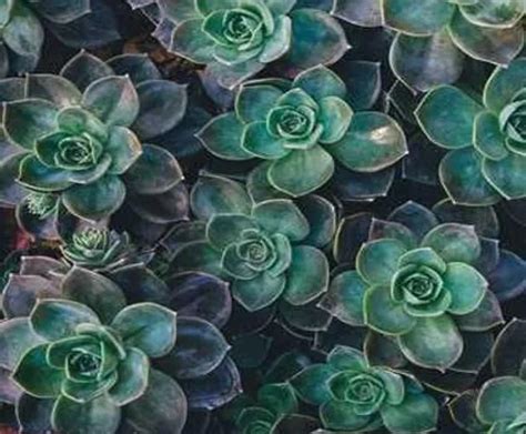 아반떼 출고 대기기간