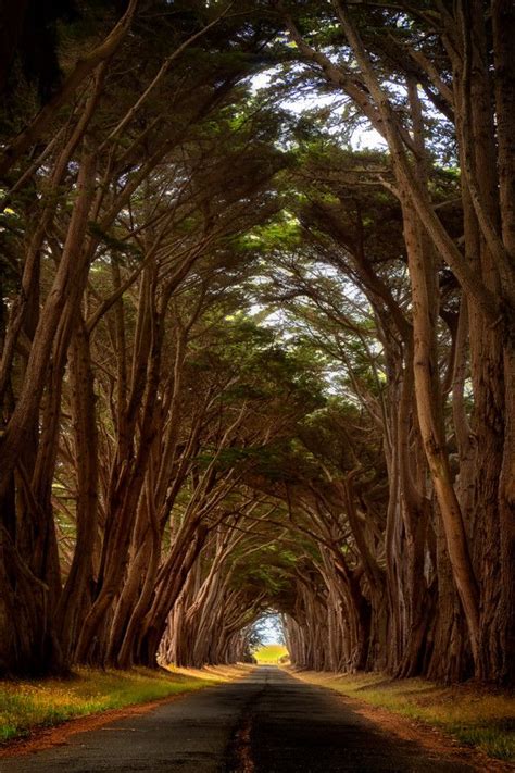 Tunnel By Lee Duan 500px Beautiful Photos Of Nature Amazing Nature Photos Beautiful Nature