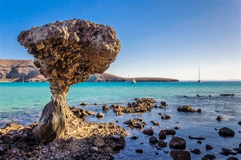 La Paz Beaches Mexico A Beach Hoppers Paradise Bookaway