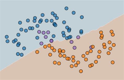 11 example of a classifier with high bias circles are the samples x